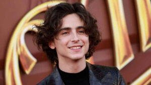 Timothy Shalloway: The Complete Guide to Timothée Chalamet's Career ...
