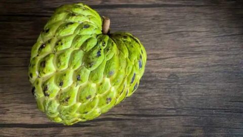 Savoring the Rich and Creamy Texture of Seasonal Custard Apple - Laventino